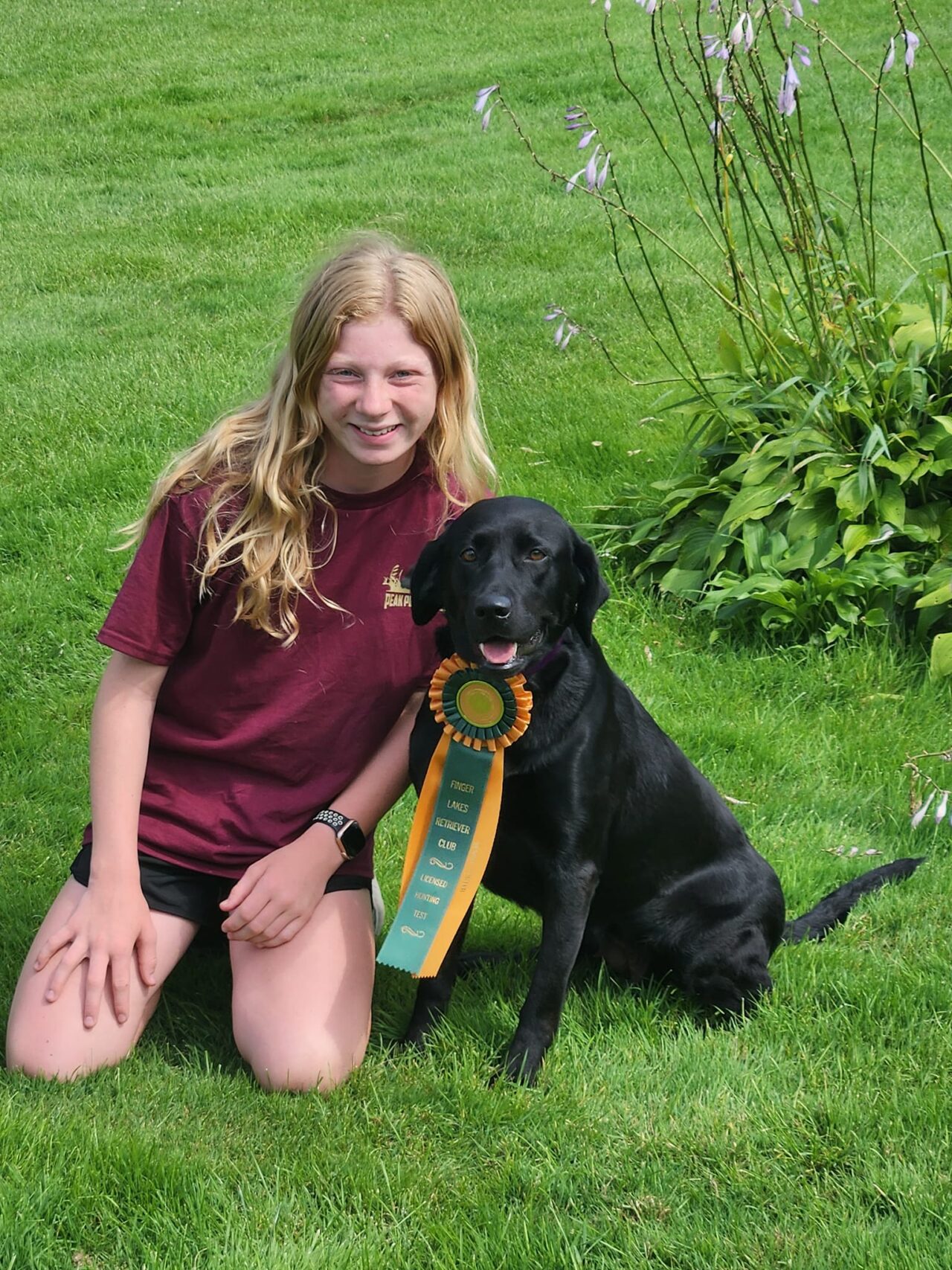 About Us - Peak Performance Labradors & Peaks Paws Dog Boarding